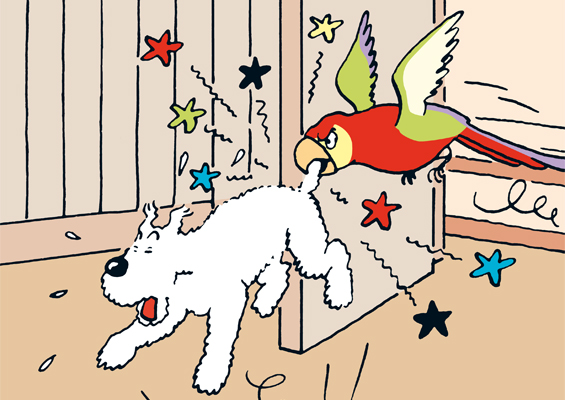 Snowy and parrots : a strained relationship